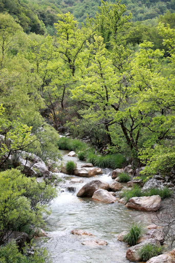 Τι είδαμε και κάναμε στην ορεινή Αρκαδία - The one with all the tastes